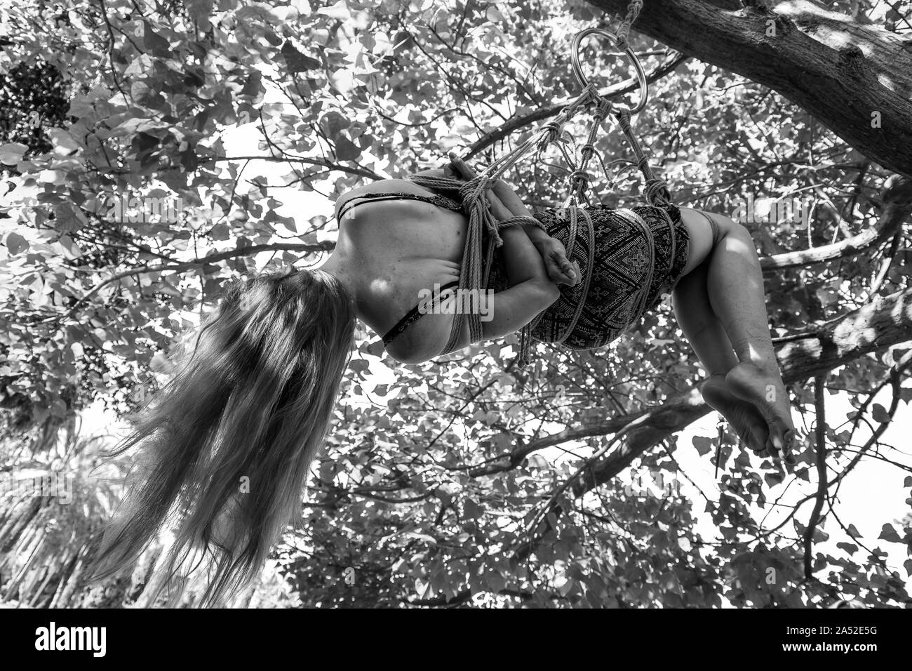 Eine junge langhaarige Mädchen hängt von einem Baum gefesselt mit Seilen in shibari fetish ...