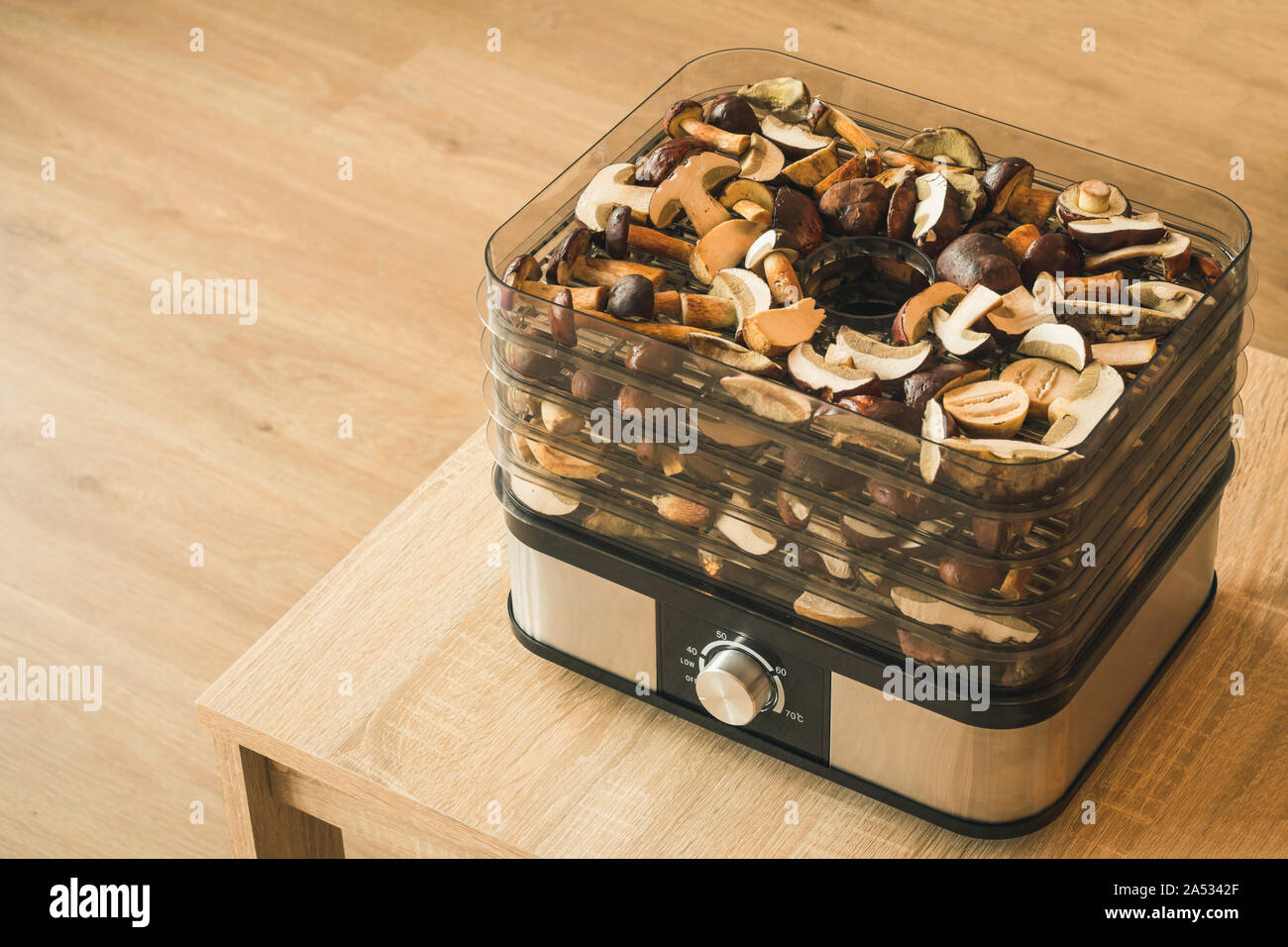 Pilze trocknen gerät -Fotos und -Bildmaterial in hoher Auflösung – Alamy