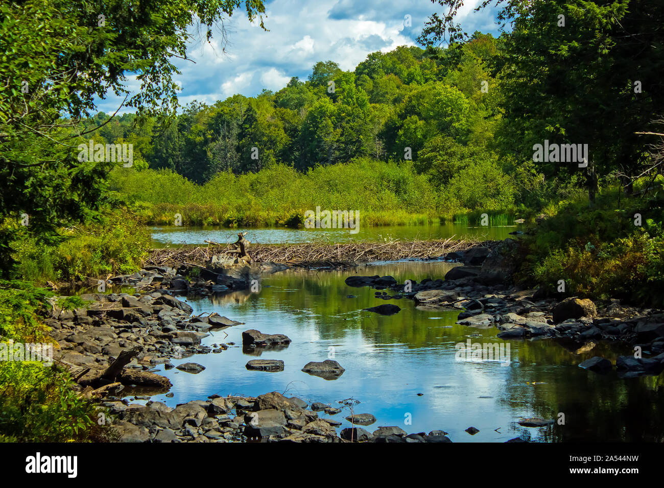 Biberdamm fluss -Fotos und -Bildmaterial in hoher Auflösung – Alamy