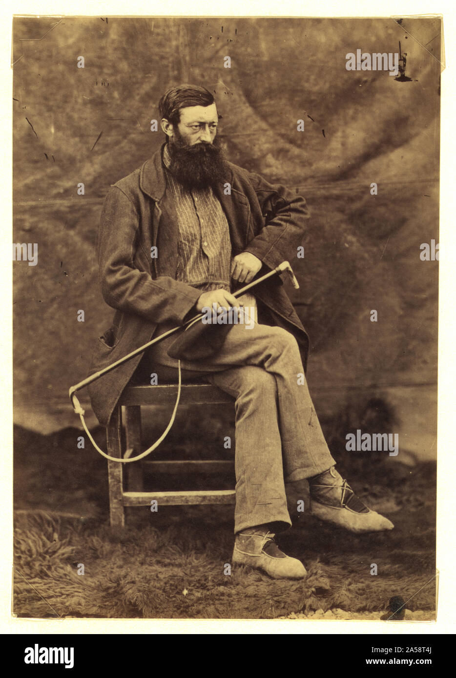 Hund peitsche -Fotos und -Bildmaterial in hoher Auflösung – Alamy