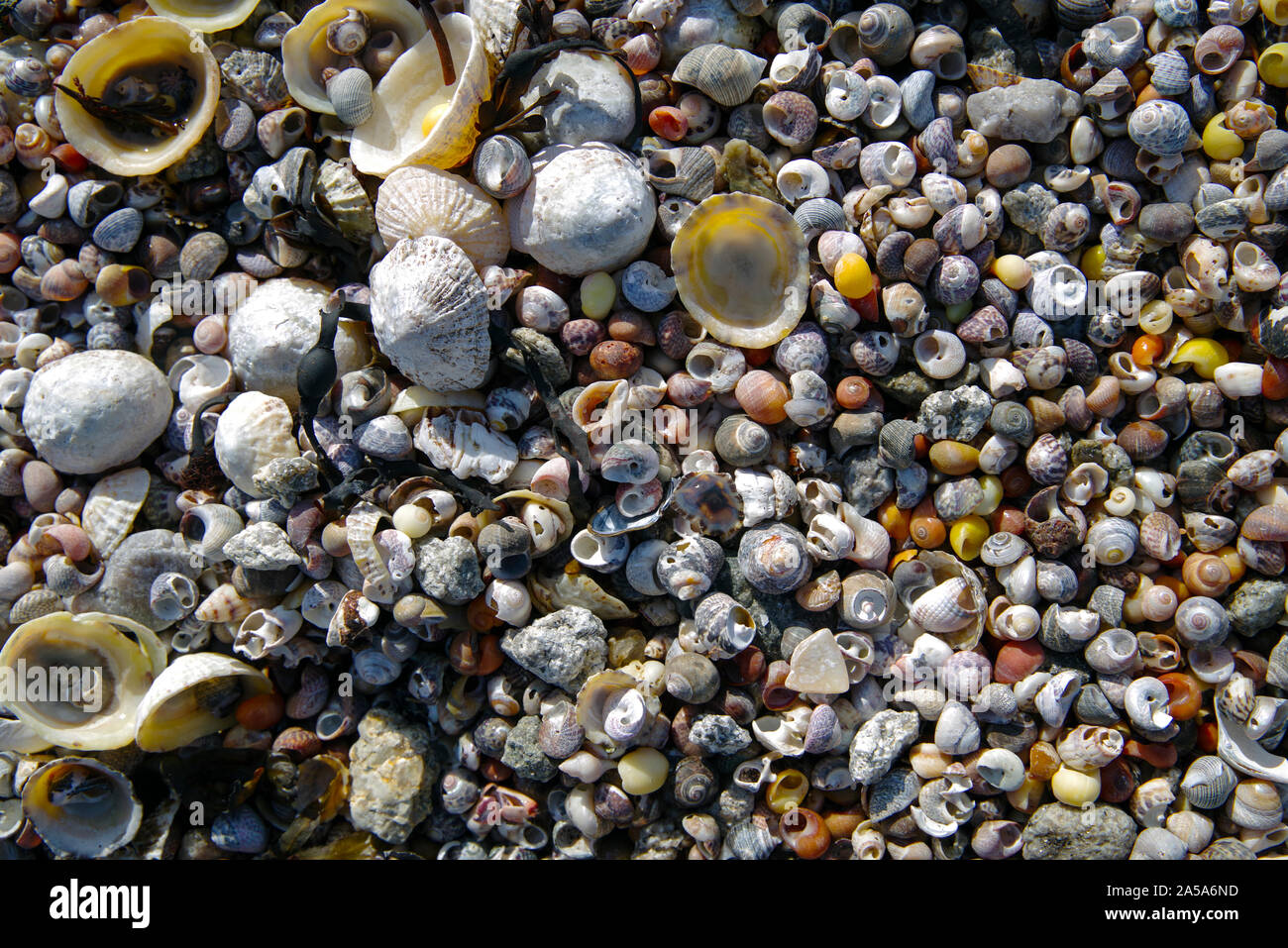 Muschelstrand frankreich -Fotos und -Bildmaterial in hoher Auflösung ...