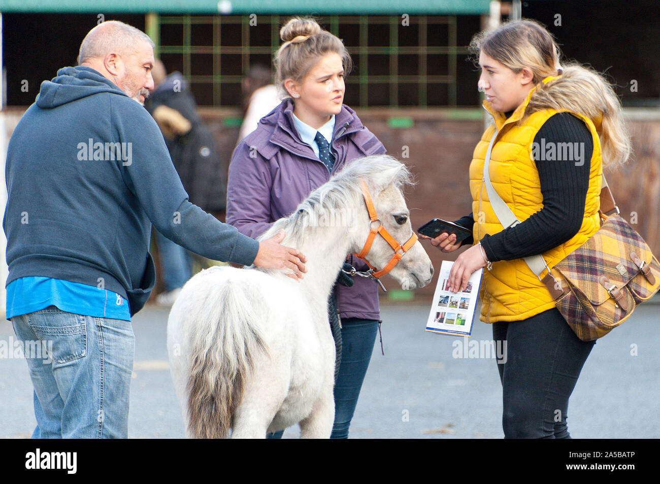 Fayre oaks -Fotos und -Bildmaterial in hoher Auflösung – Alamy