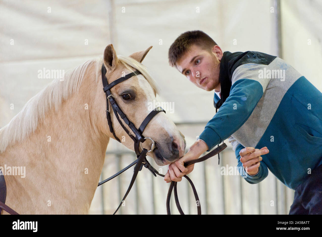 Fayre oaks -Fotos und -Bildmaterial in hoher Auflösung – Alamy