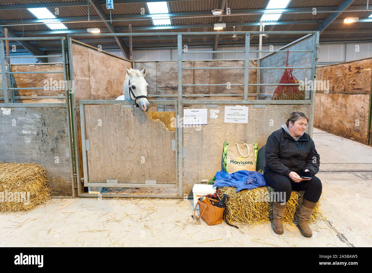 Fayre oaks -Fotos und -Bildmaterial in hoher Auflösung – Alamy