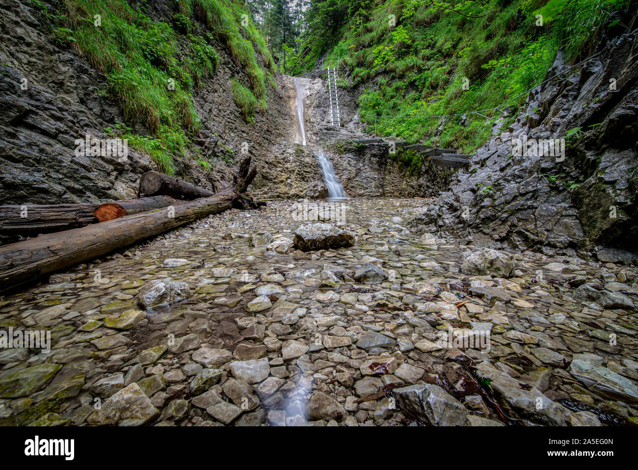 Sucha bela -Fotos und -Bildmaterial in hoher Auflösung – Alamy