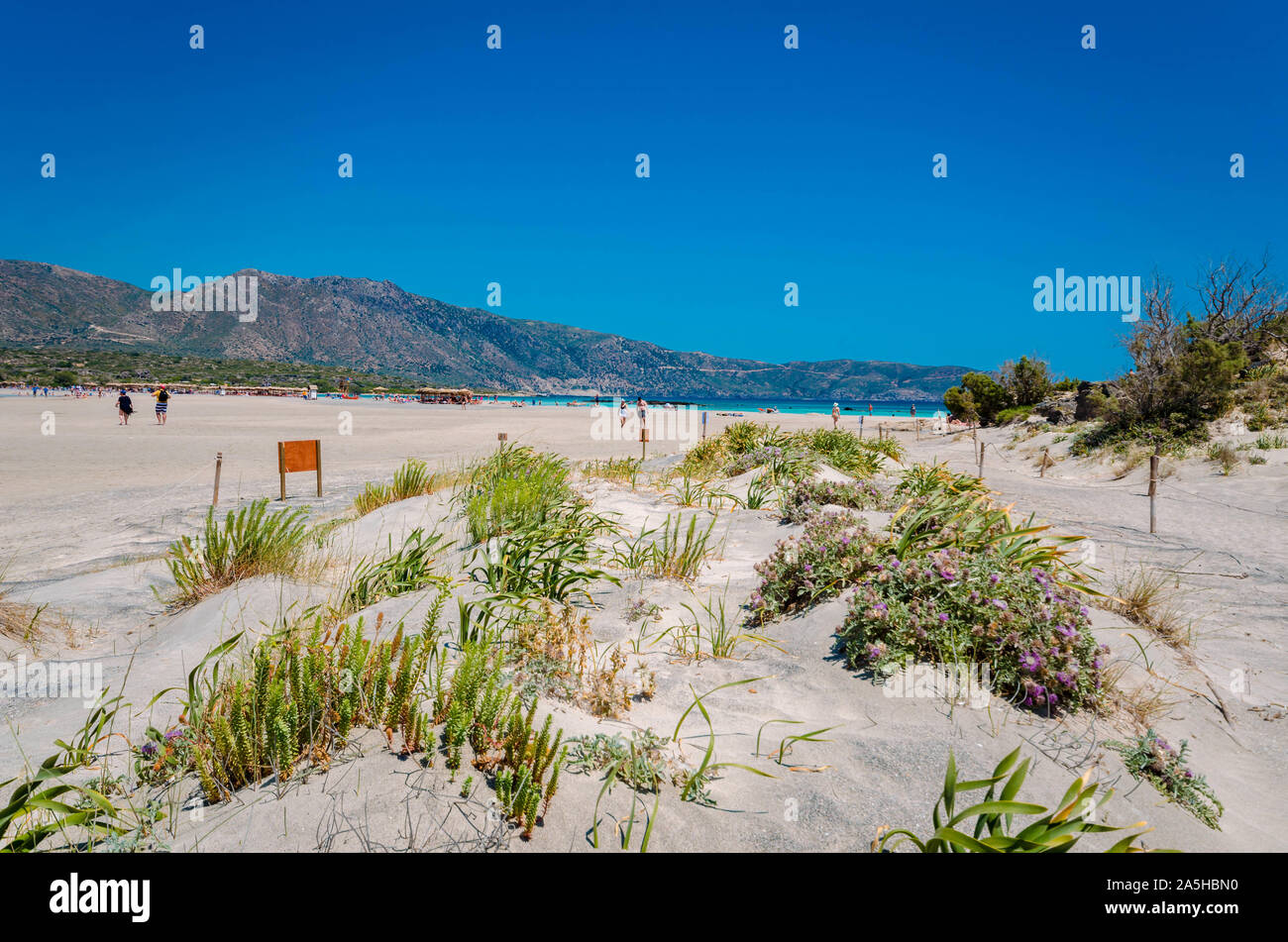 Elafonissi Strand, die erstaunliche Pink Beach auf Kreta, die mehrfach ...