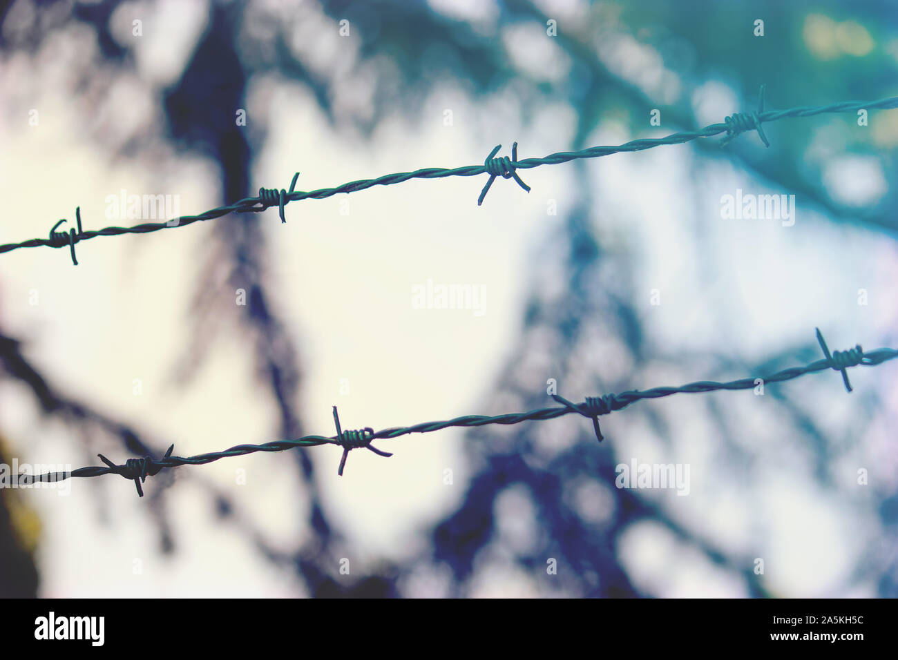 Closed borders -Fotos und -Bildmaterial in hoher Auflösung – Alamy