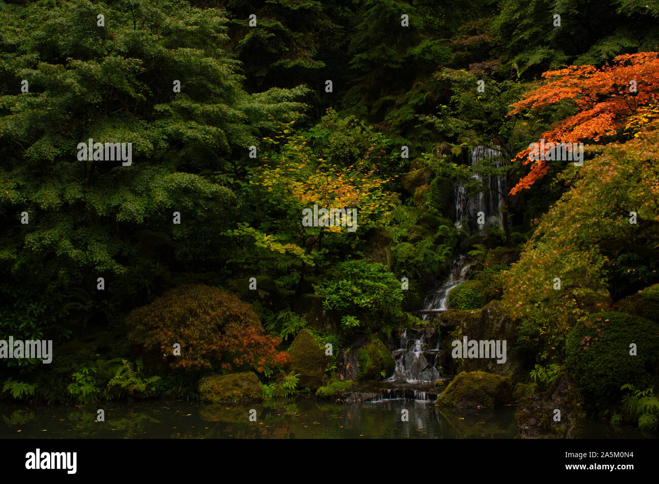 Japanischer steinbrunnen -Fotos und -Bildmaterial in hoher Auflösung ...