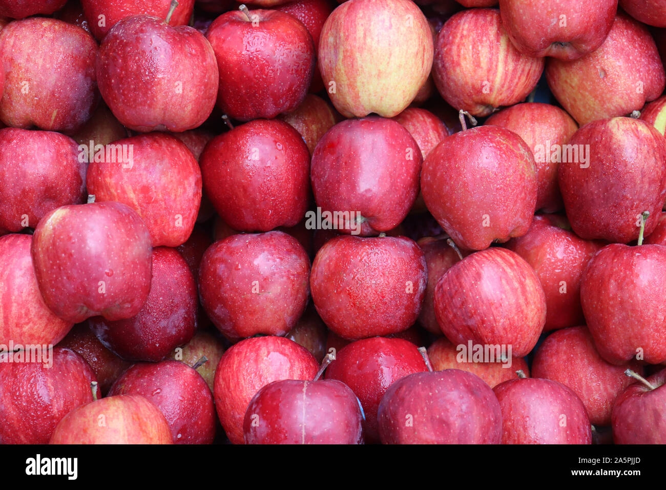 Apfel textur -Fotos und -Bildmaterial in hoher Auflösung – Alamy