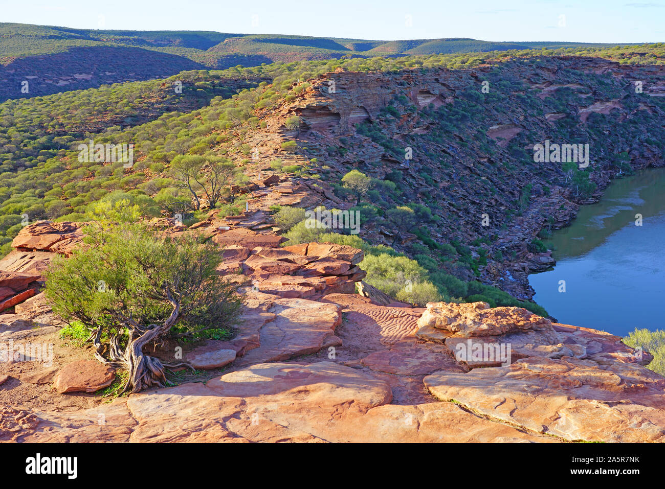 Blick auf die Murchison River Gorge in Kalbarri National Park in der ...
