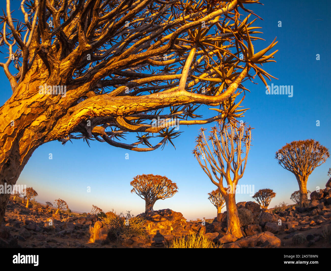 Tourismus In Namibia Stockfotos und -bilder Kaufen - Alamy