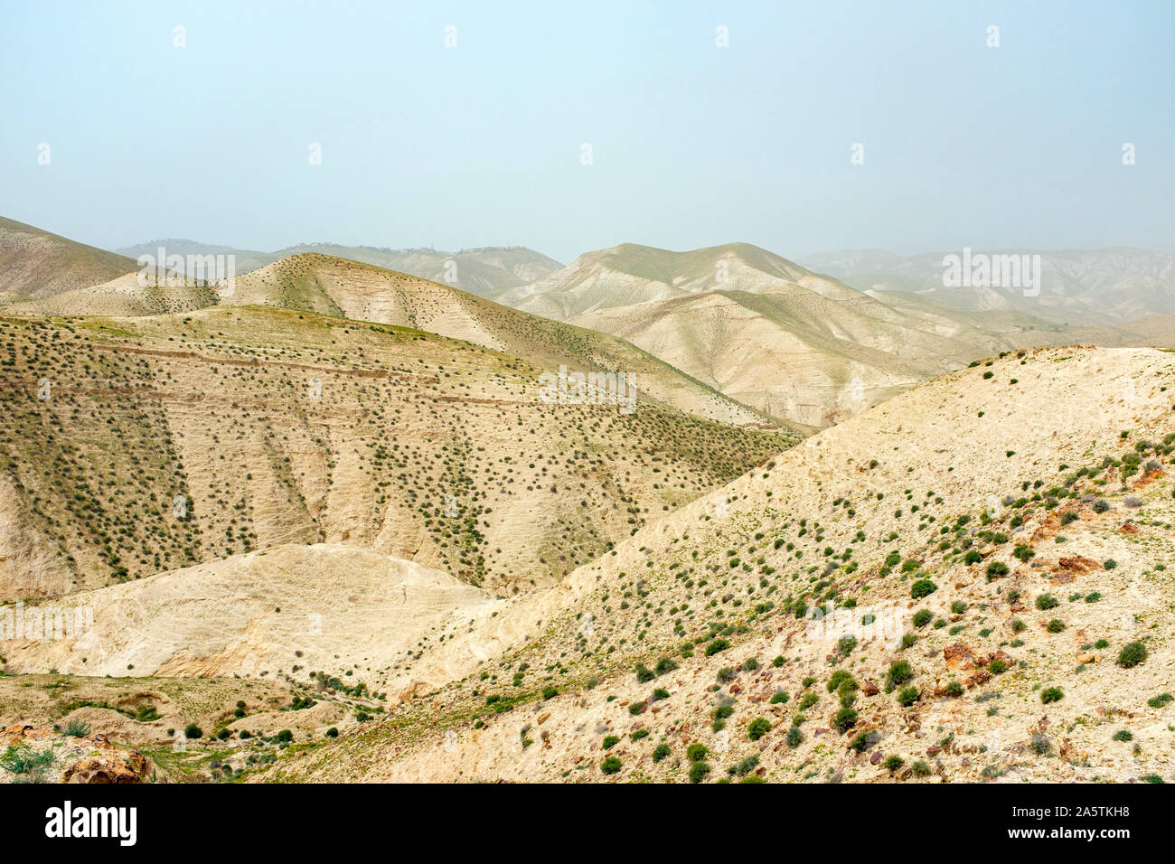 Wadi quelt -Fotos und -Bildmaterial in hoher Auflösung – Alamy