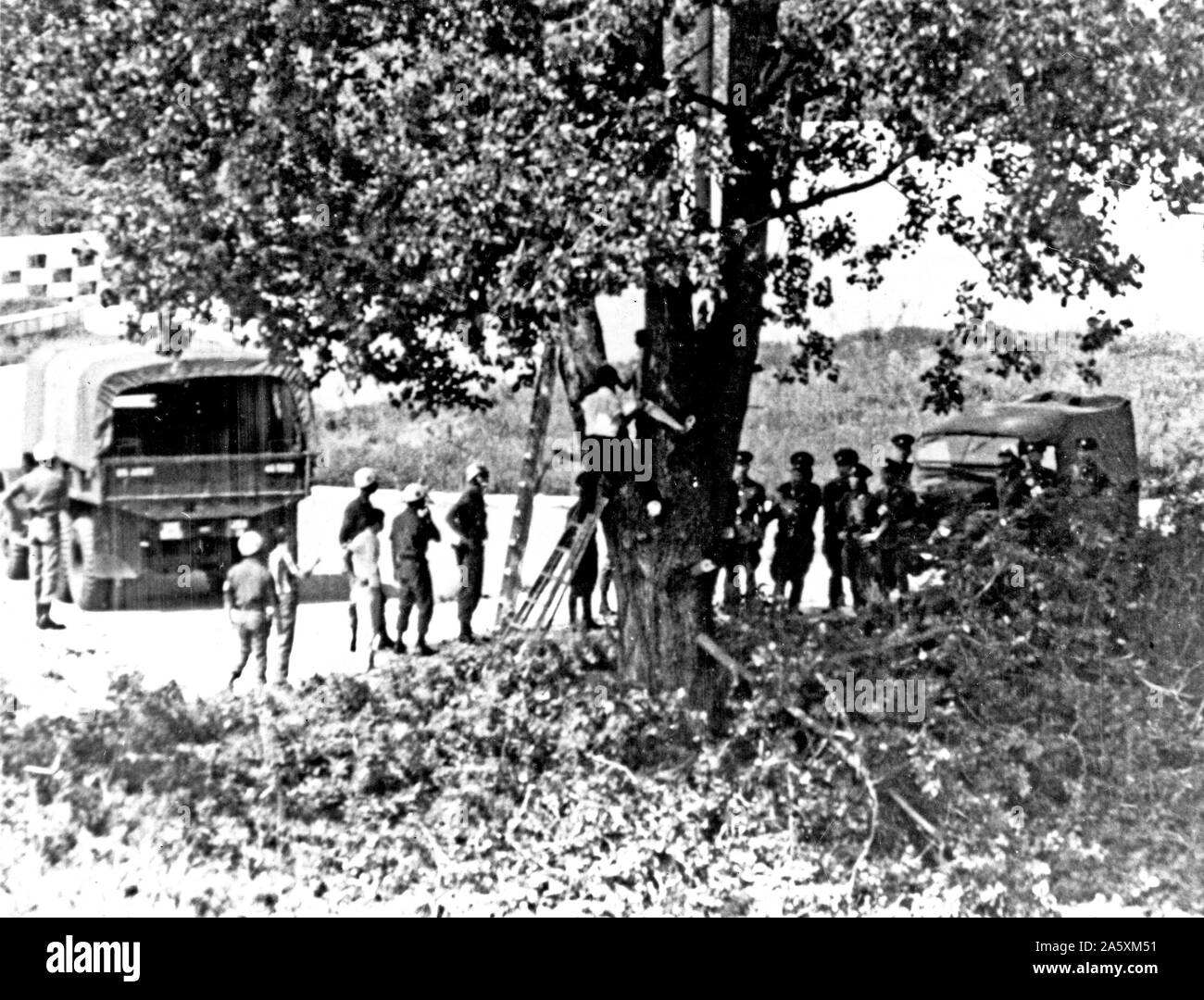 Panmunjon, Korea. Baum- Vorfall 18. August 1976, am Joint Security Area ...