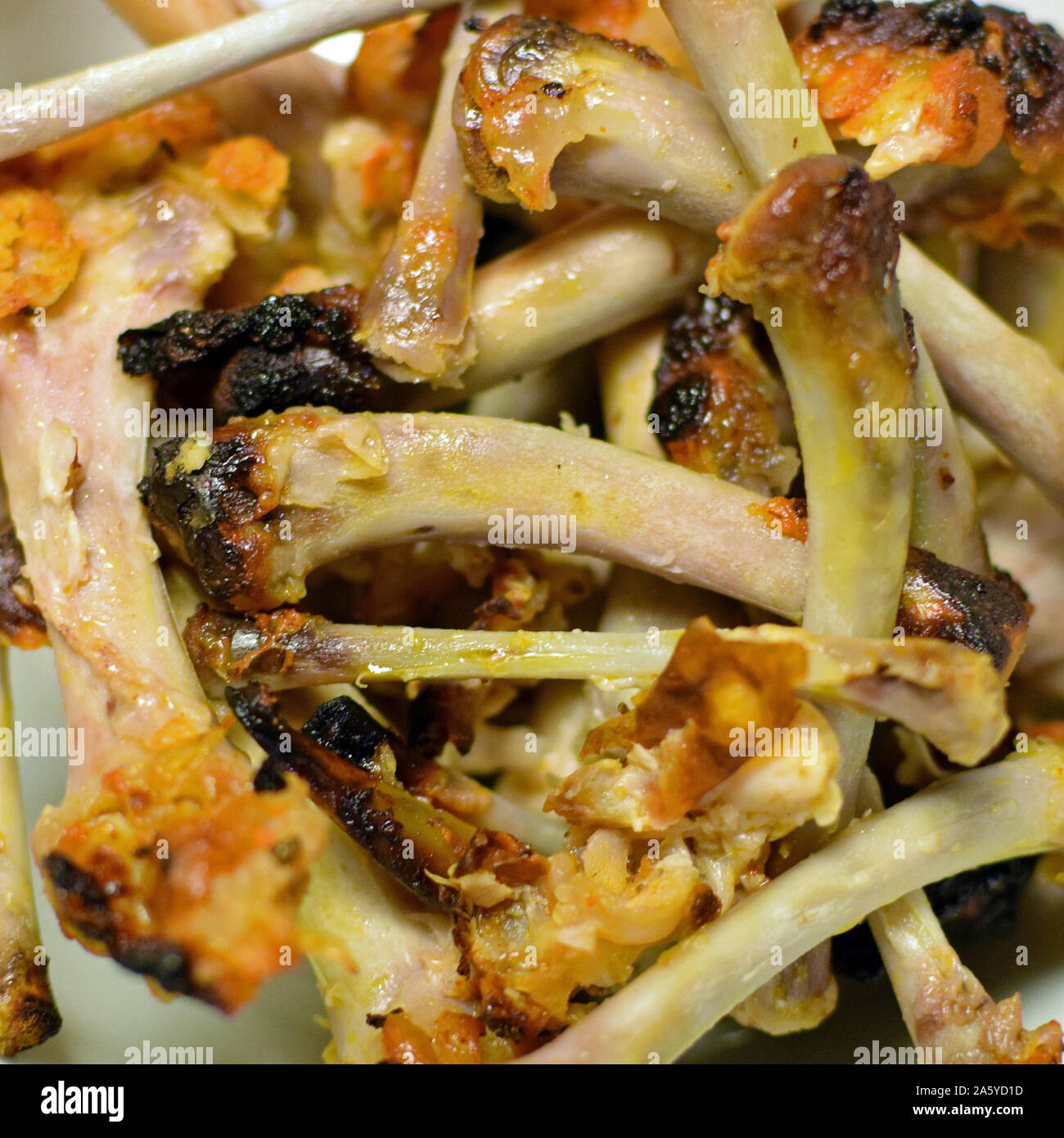 Haufen Knochen Stockfotos und -bilder Kaufen - Alamy