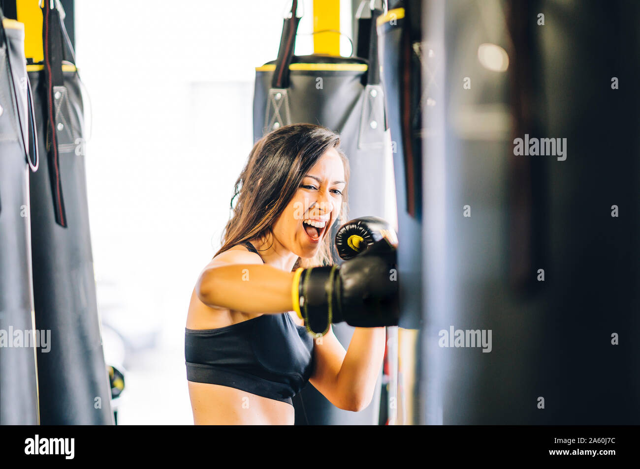 Female boxer -Fotos und -Bildmaterial in hoher Auflösung – Alamy