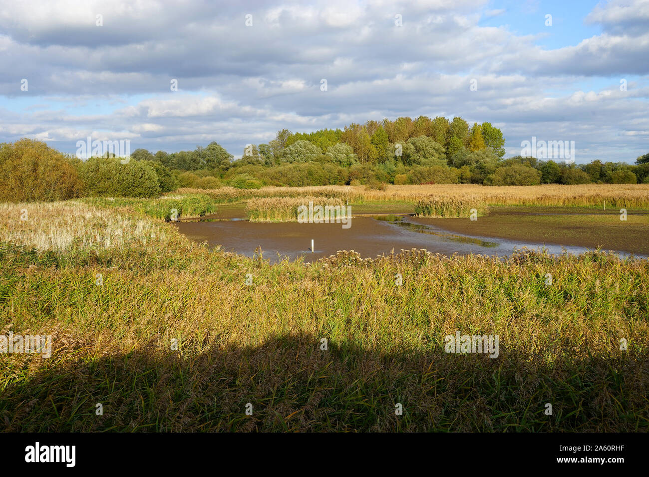 Fowlmere rspb reserve -Fotos und -Bildmaterial in hoher Auflösung – Alamy