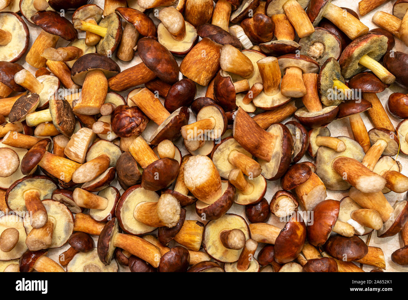 Hintergrund aus frisch gepflückten essbare Pilze, verschiedene Arten ...