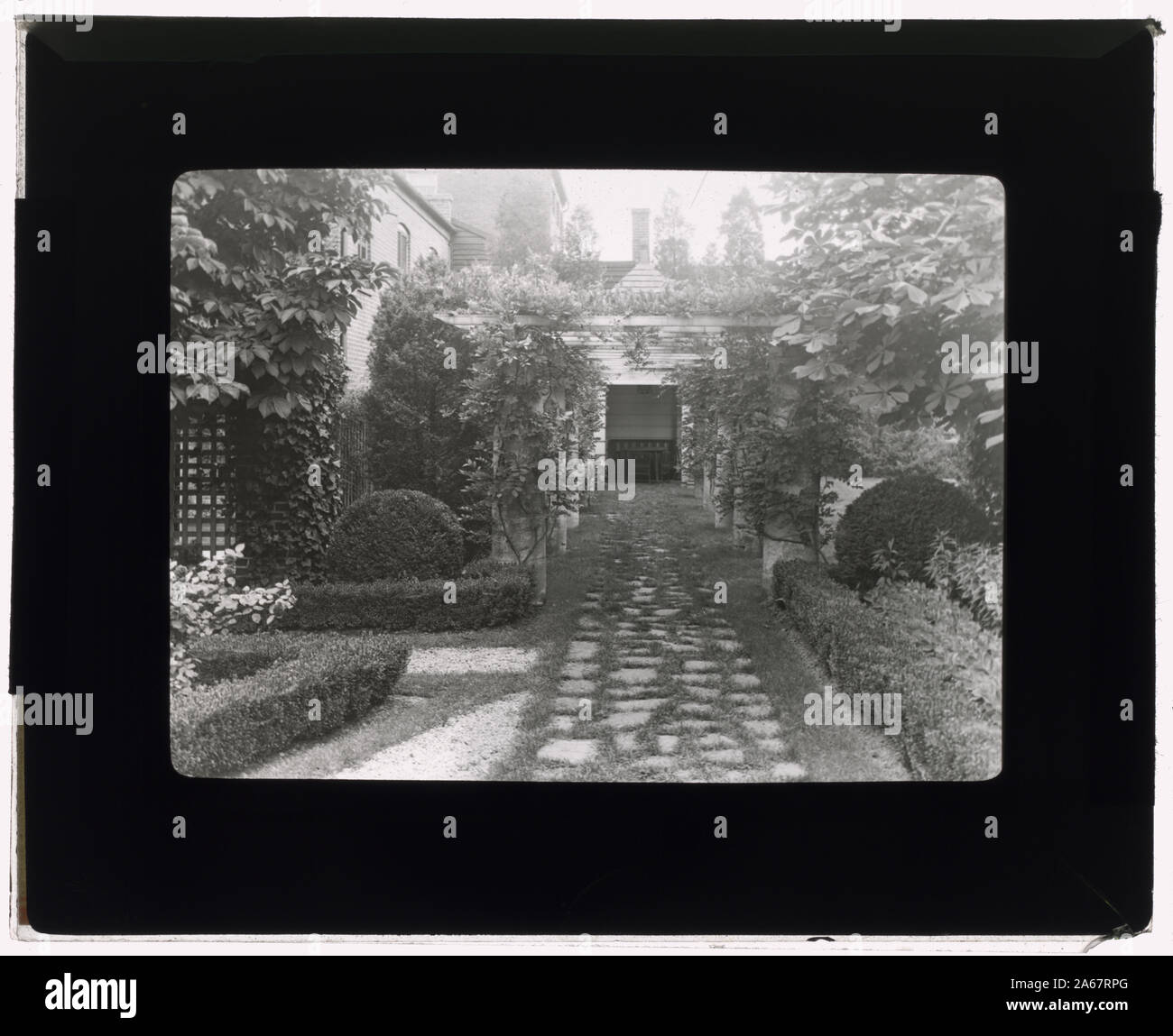 Virginia glatt -Fotos und -Bildmaterial in hoher Auflösung – Alamy