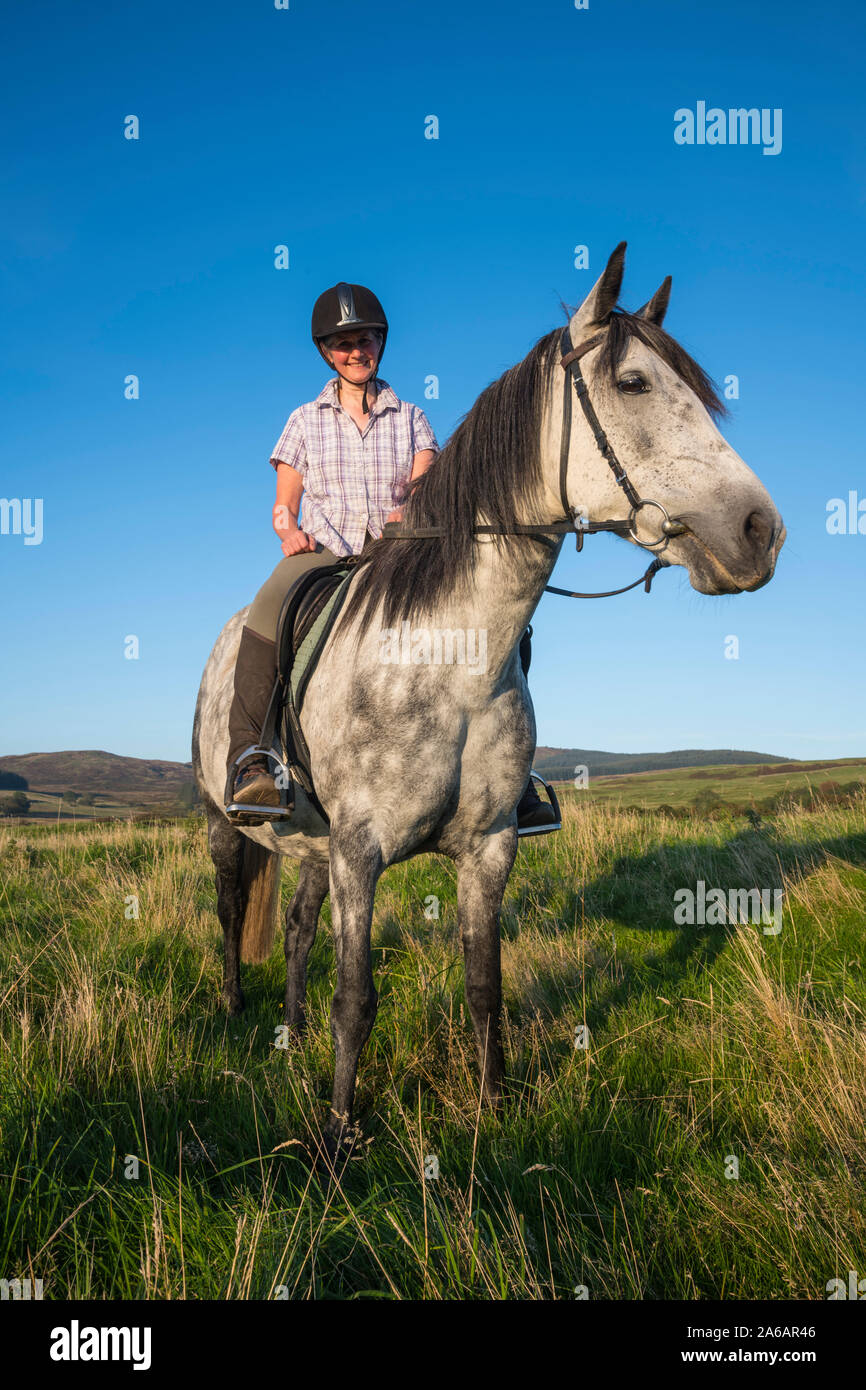Connemara welsh cross -Fotos und -Bildmaterial in hoher Auflösung – Alamy