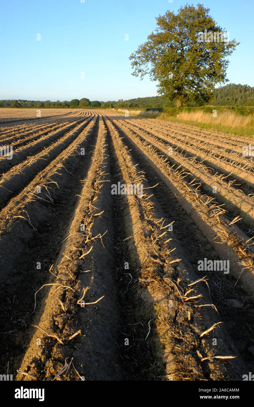 Parallele furchen -Fotos und -Bildmaterial in hoher Auflösung – Alamy