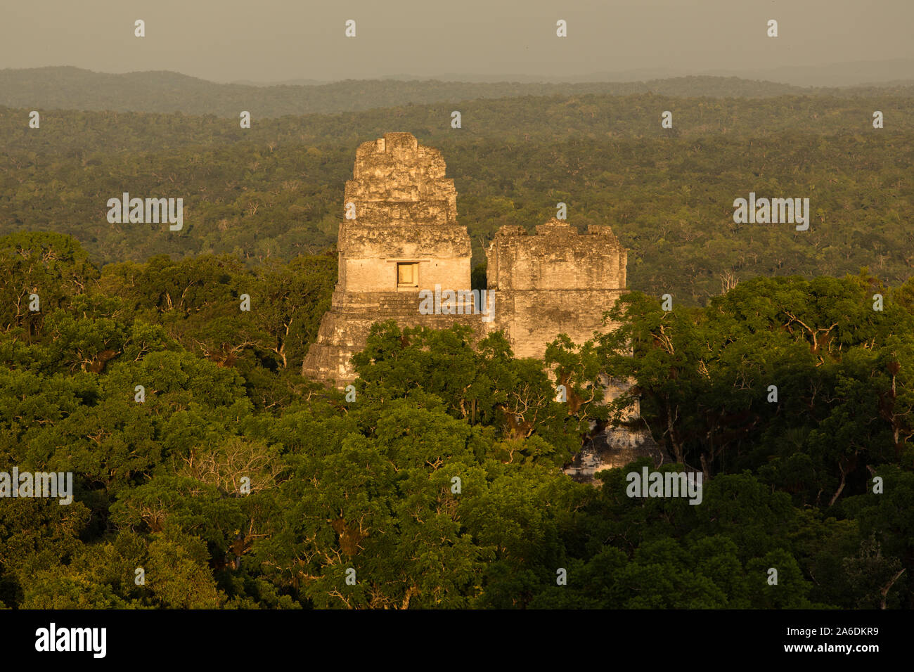 Maya tempel maya tempelwald guatemala tikal regenwald -Fotos und ...