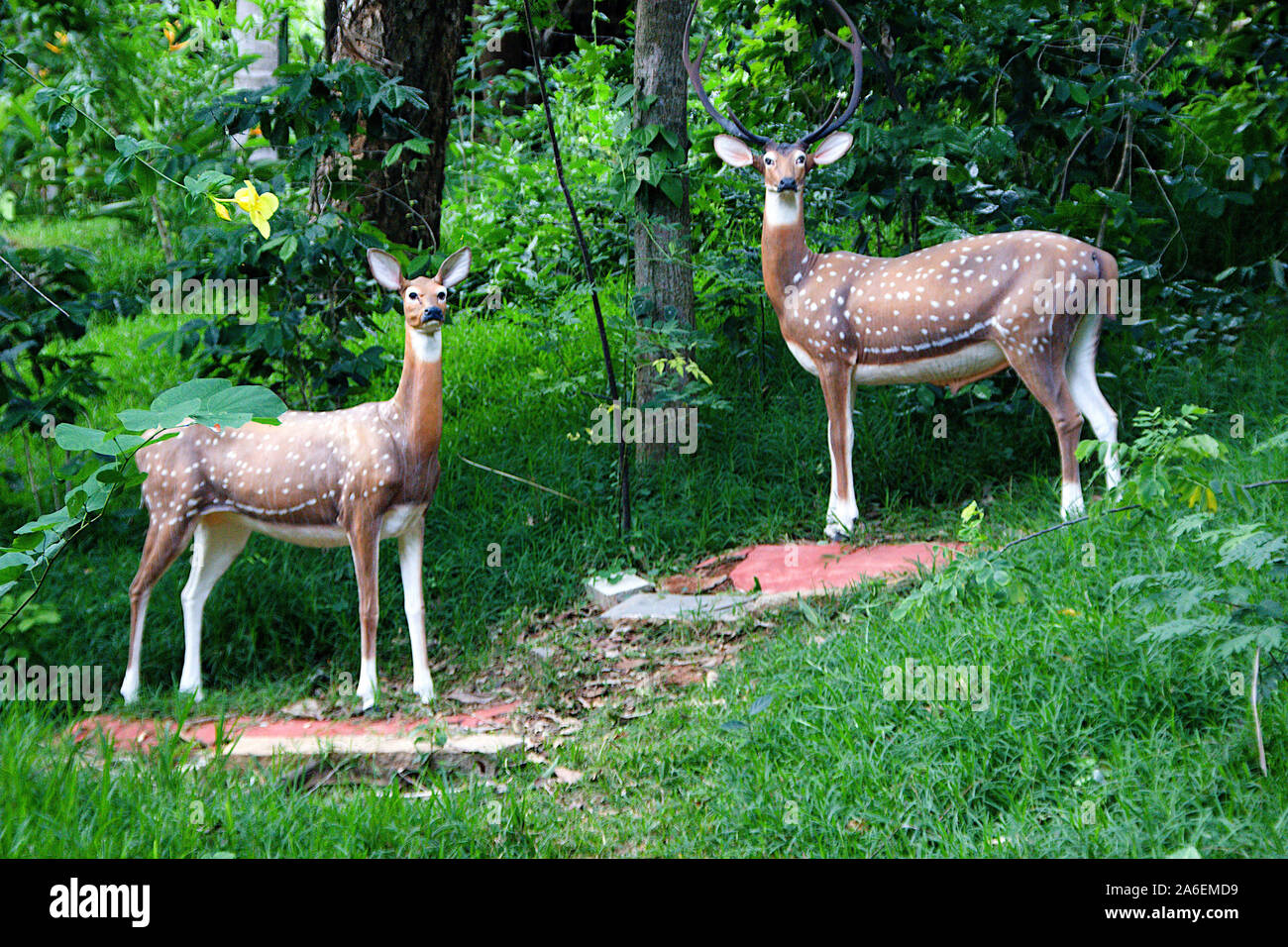 Janapada loka volkskunstmuseum -Fotos und -Bildmaterial in hoher ...