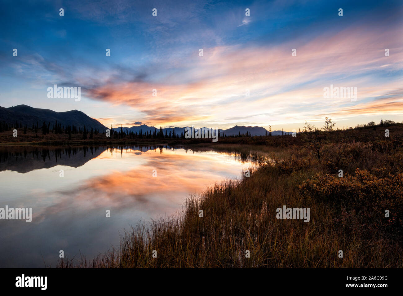 Nordamerika; USA; Alaska; Alaska Range Berge; Nenana River; Denali ...