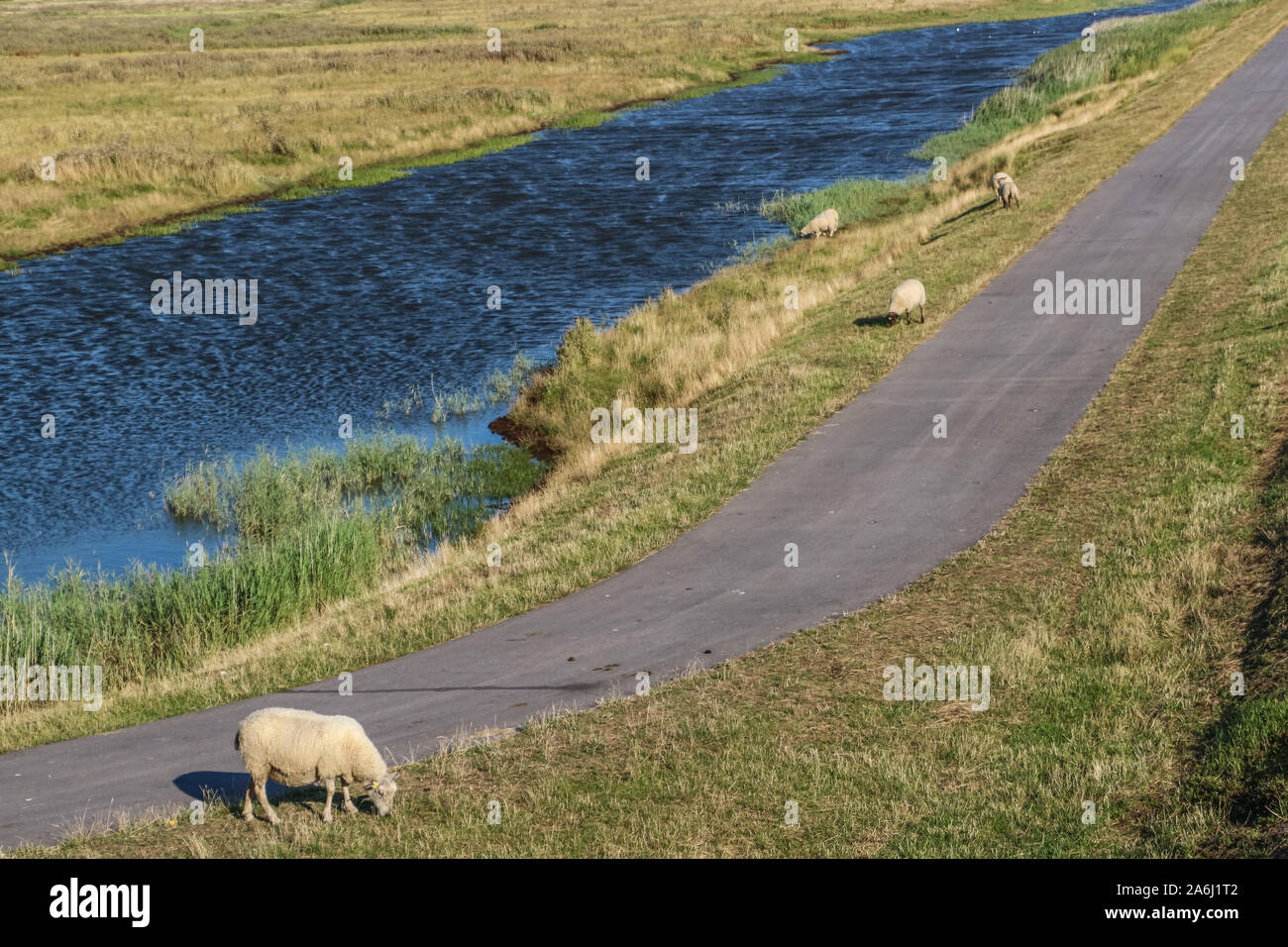 Mando insel -Fotos und -Bildmaterial in hoher Auflösung – Alamy