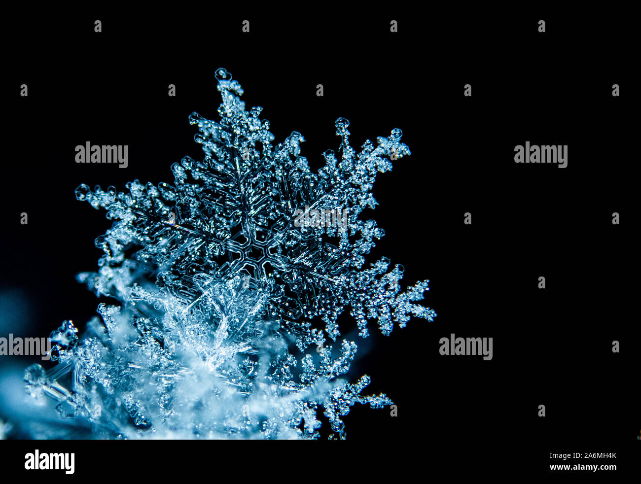 Snowflake macro -Fotos und -Bildmaterial in hoher Auflösung – Alamy
