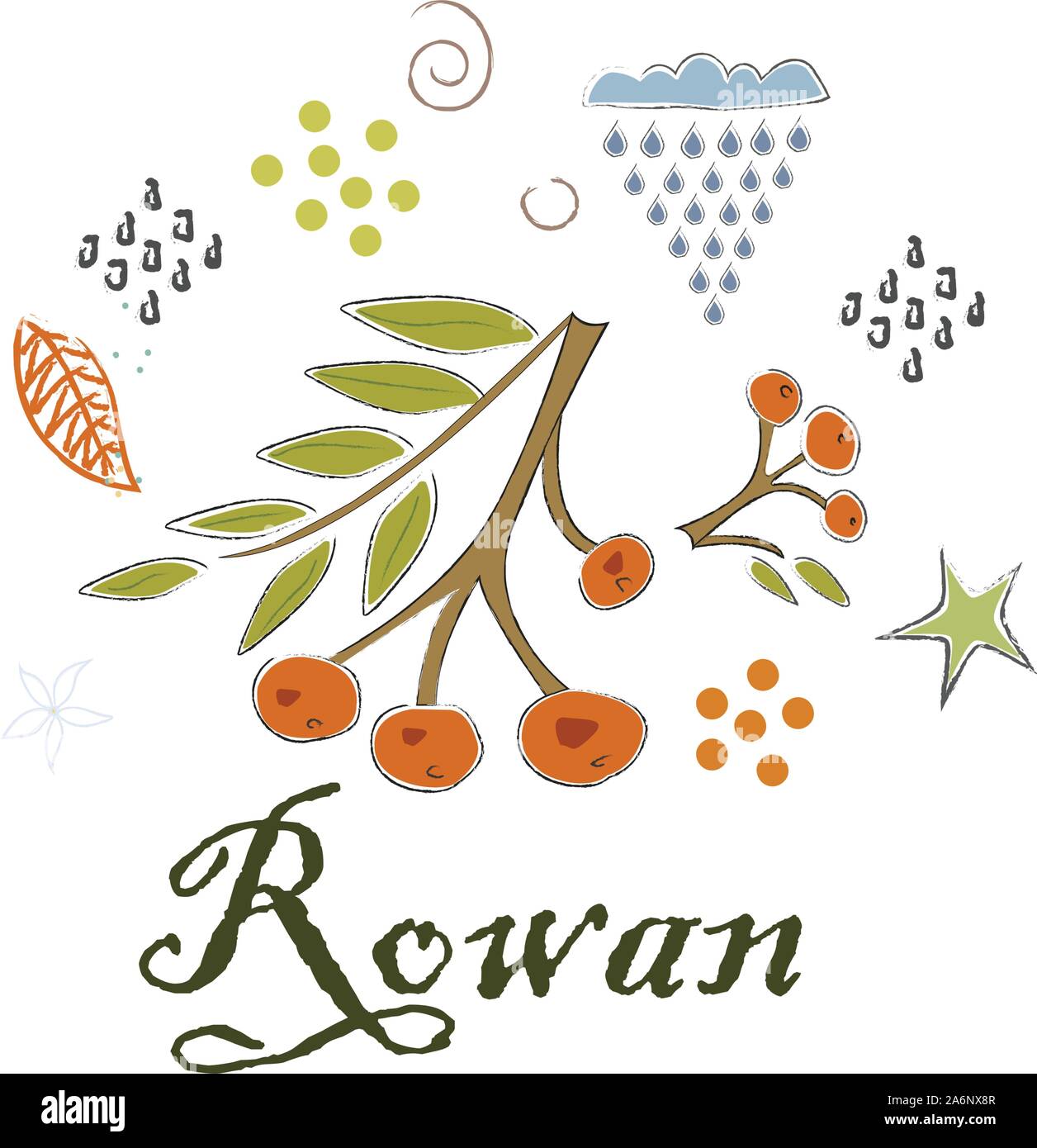 Cute Symbol mit Rowan. Hand gezeichnet, im skandinavischen Stil. Vector ...