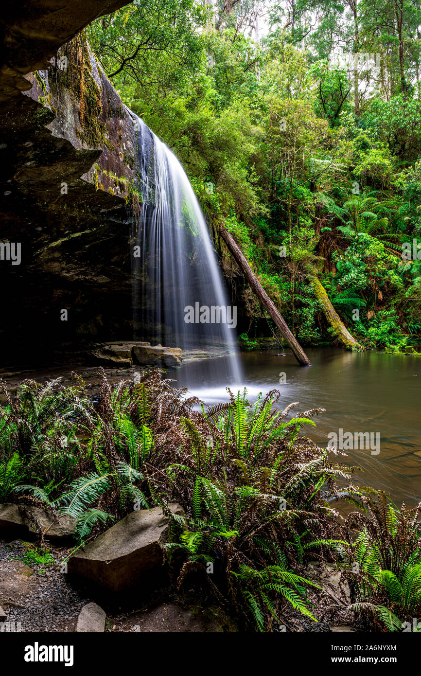 Australischer Wasserfall Stockfotos und -bilder Kaufen - Alamy
