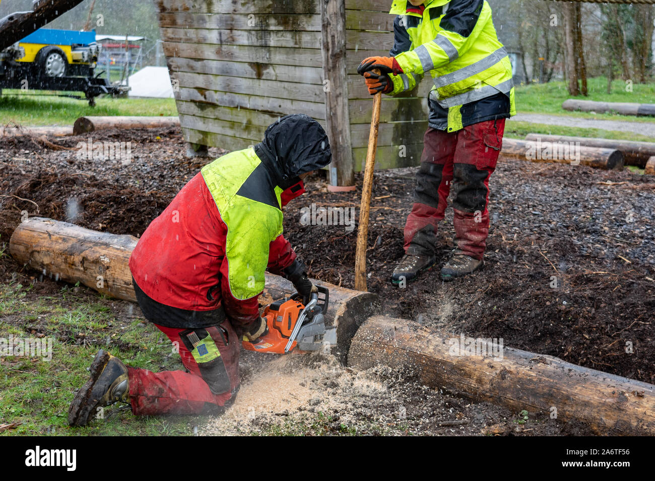 Baumfäller mit axt auf dem baum -Fotos und -Bildmaterial in hoher ...