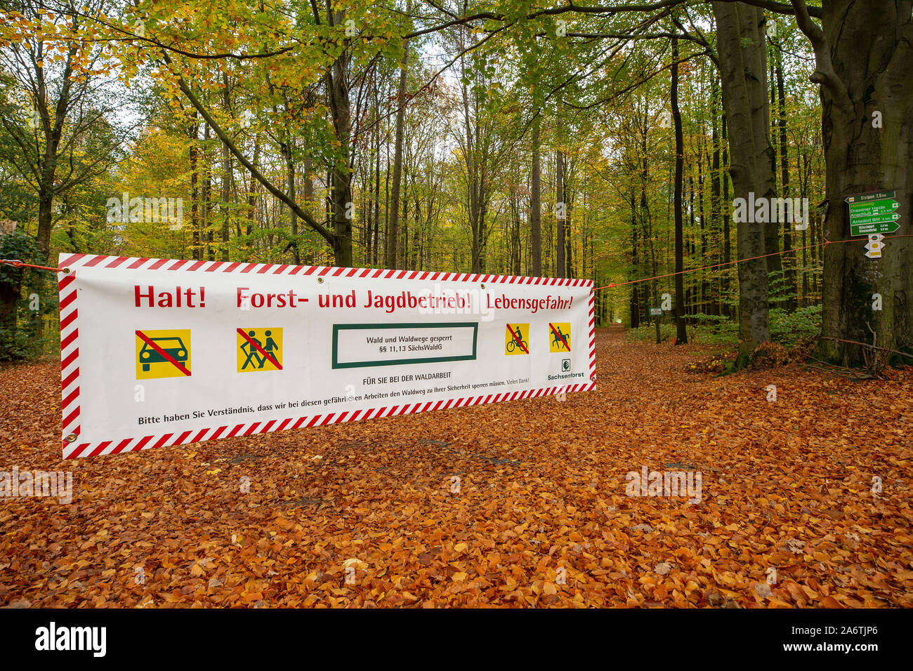 Kreuz durchgestrichen auto -Fotos und -Bildmaterial in hoher Auflösung ...