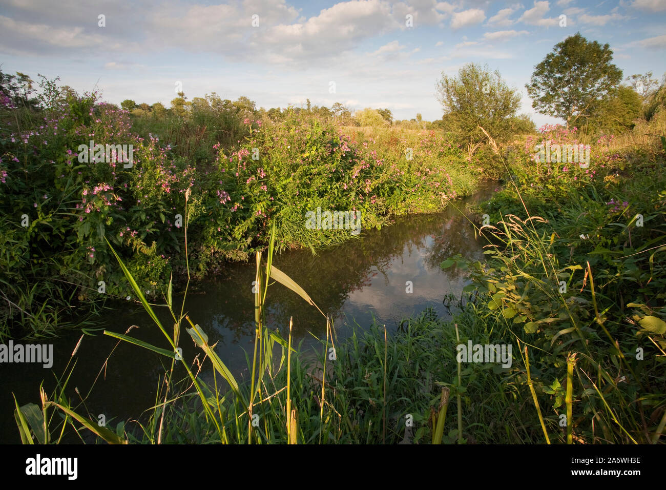 Sussex ouse river -Fotos und -Bildmaterial in hoher Auflösung – Alamy