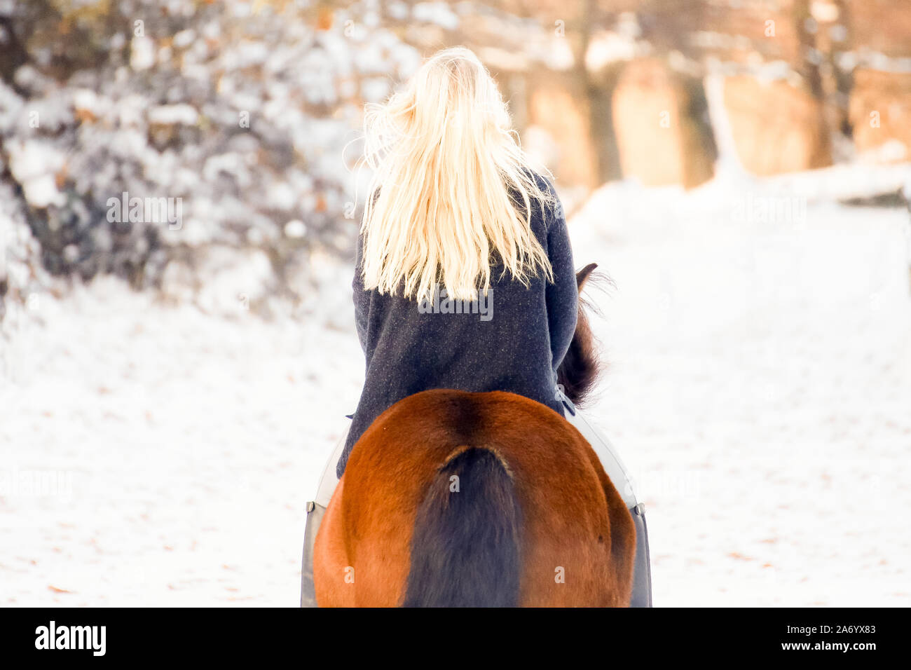 Blonde Frau Und Pferd Reiten Fotos Und Bildmaterial In Hoher