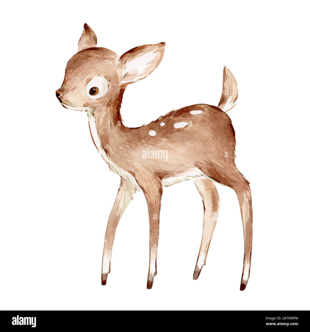 Reh zeichnung -Fotos und -Bildmaterial in hoher Auflösung – Alamy