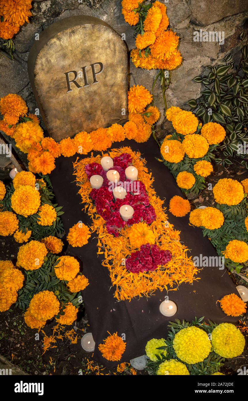 Tag der toten blumen -Fotos und -Bildmaterial in hoher Auflösung – Alamy