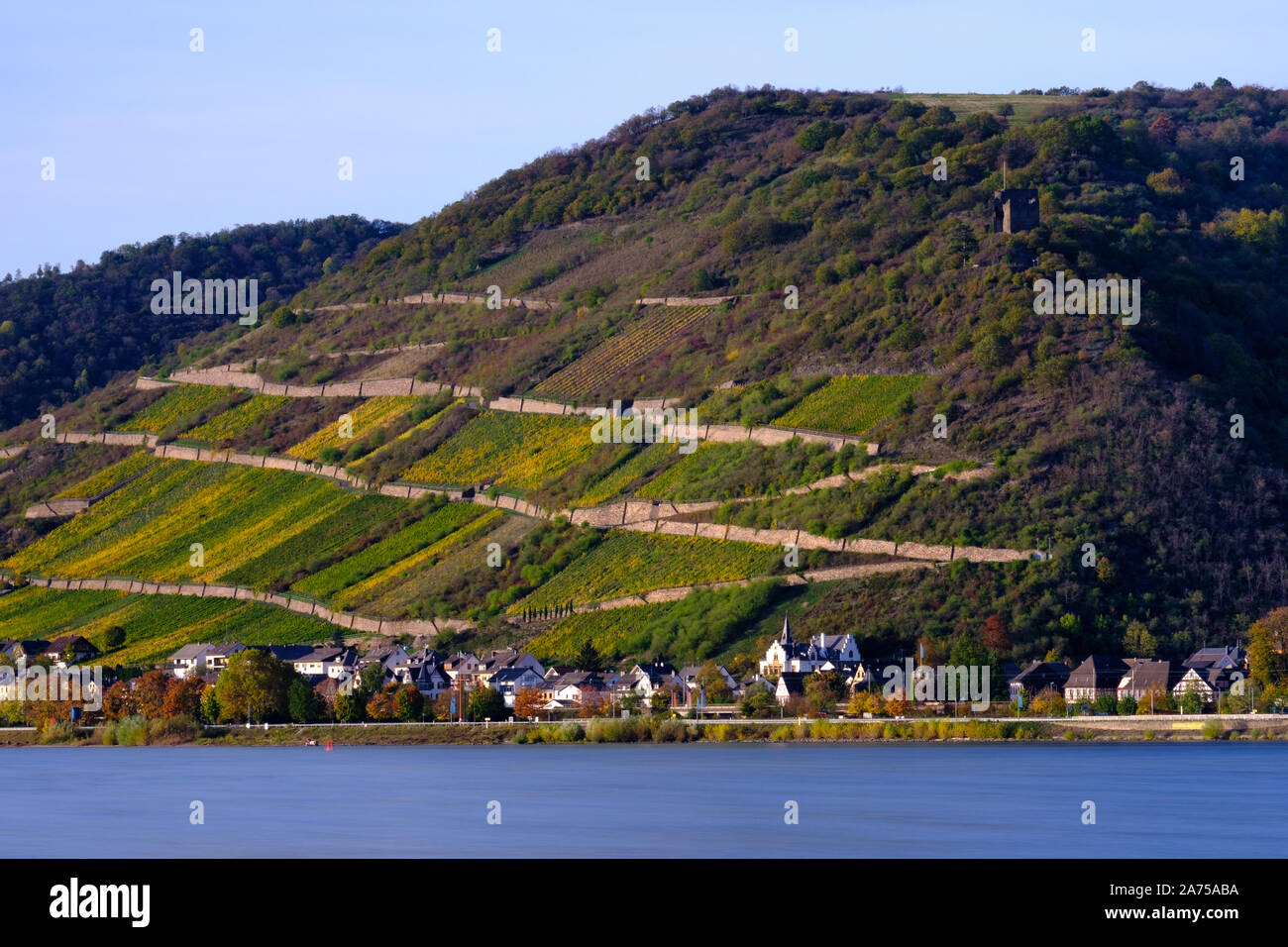 Weinberge im rheintal -Fotos und -Bildmaterial in hoher Auflösung – Alamy
