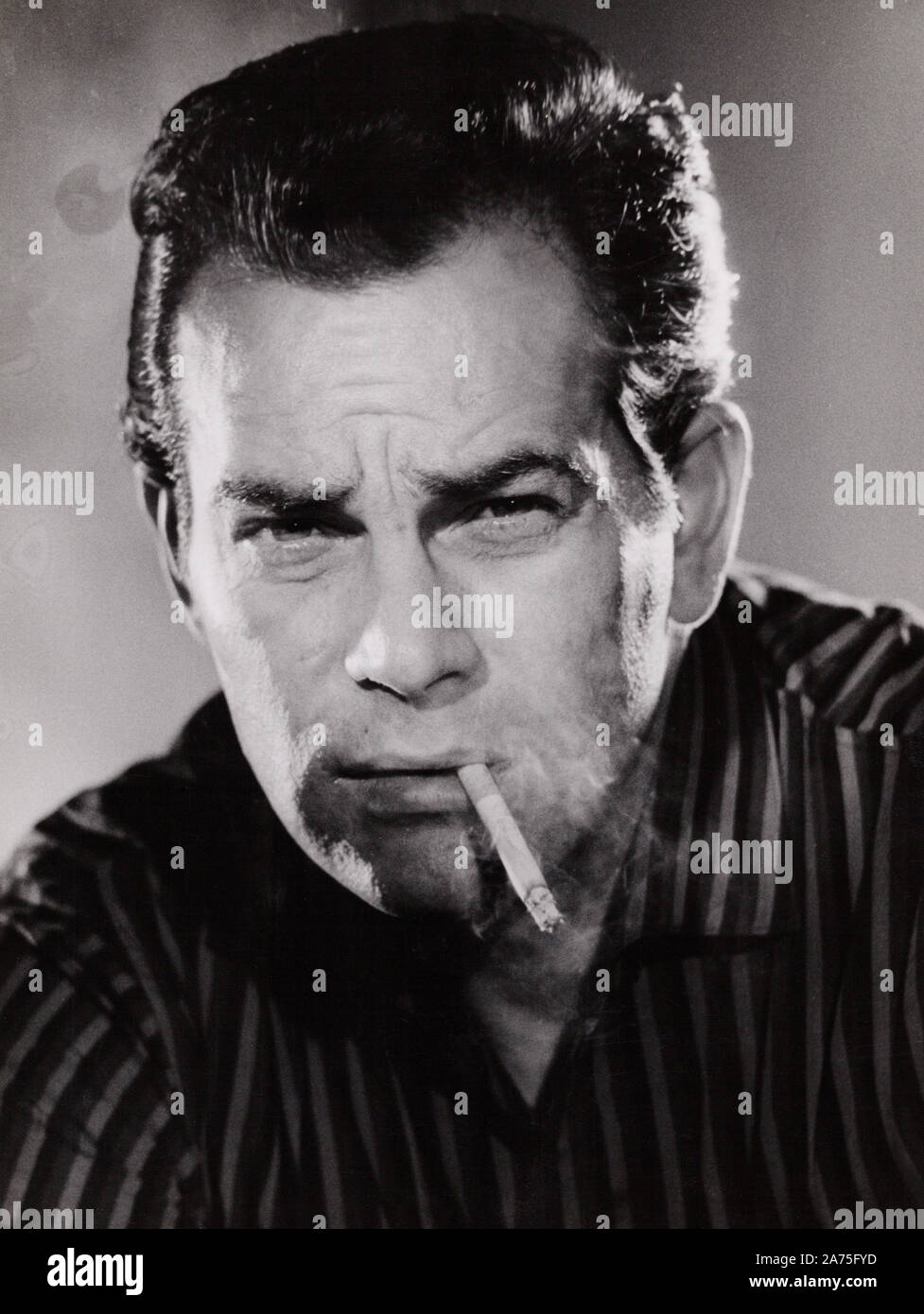 Adrian Hoven, österreichischer Wis Horsemanship und Rox, Deutschland ...