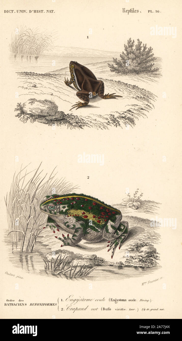 Frau fournier -Fotos und -Bildmaterial in hoher Auflösung – Alamy