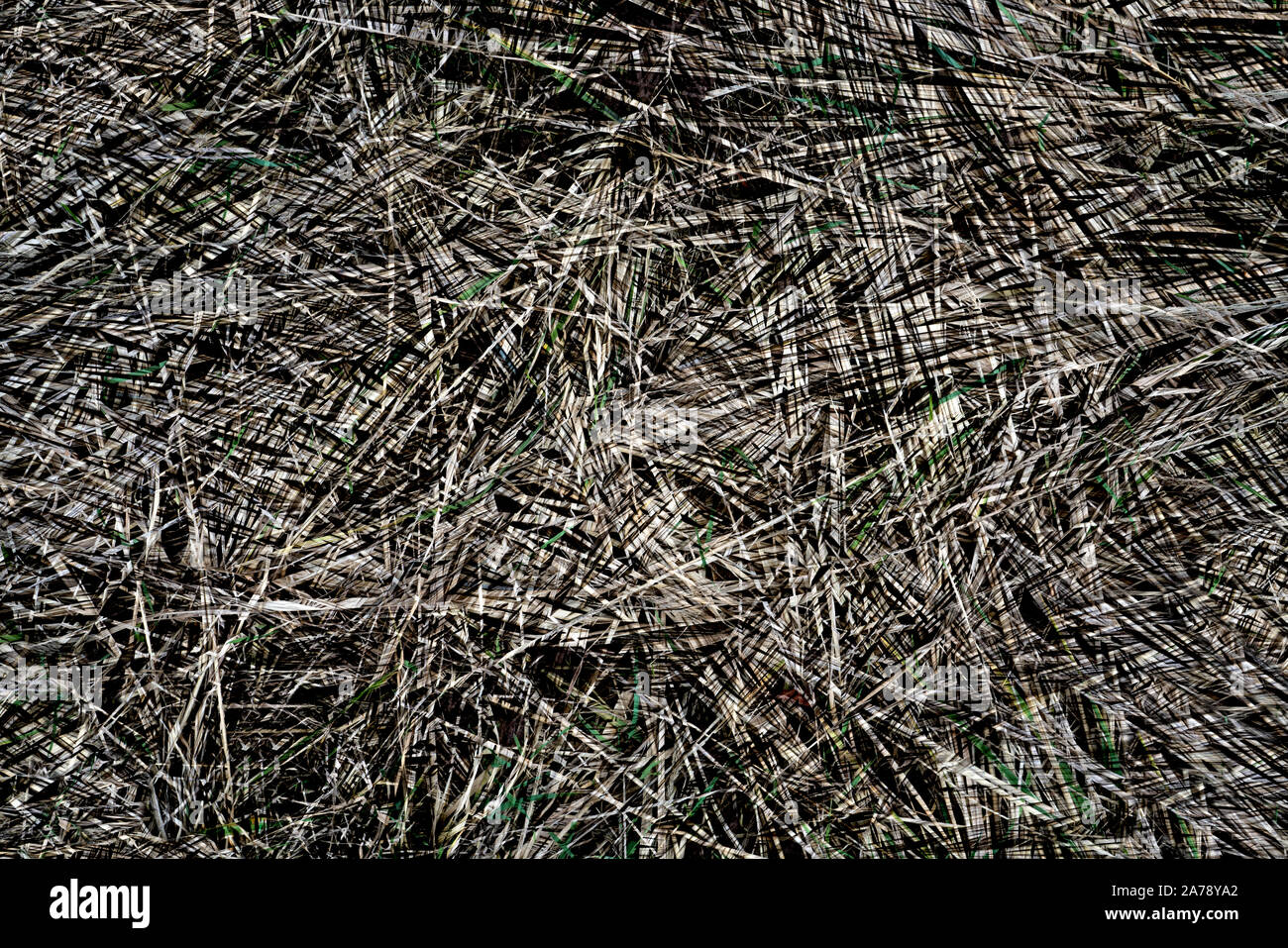 Heu stroh -Fotos und -Bildmaterial in hoher Auflösung – Alamy