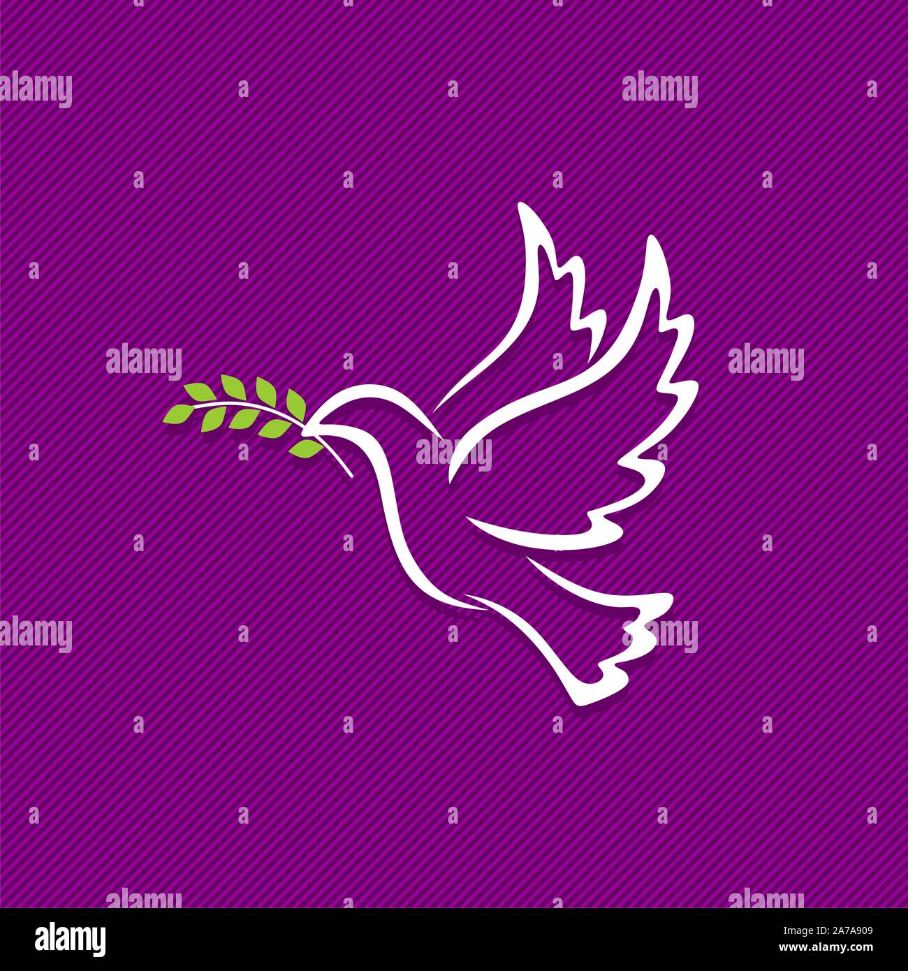 Taube, ein Symbol des Friedens und der Reinheit. Das biblische Symbol ...