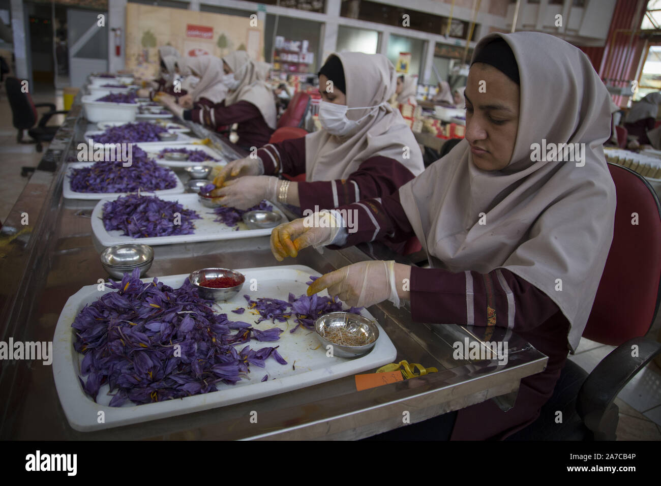 Safran ernte iran -Fotos und -Bildmaterial in hoher Auflösung – Alamy