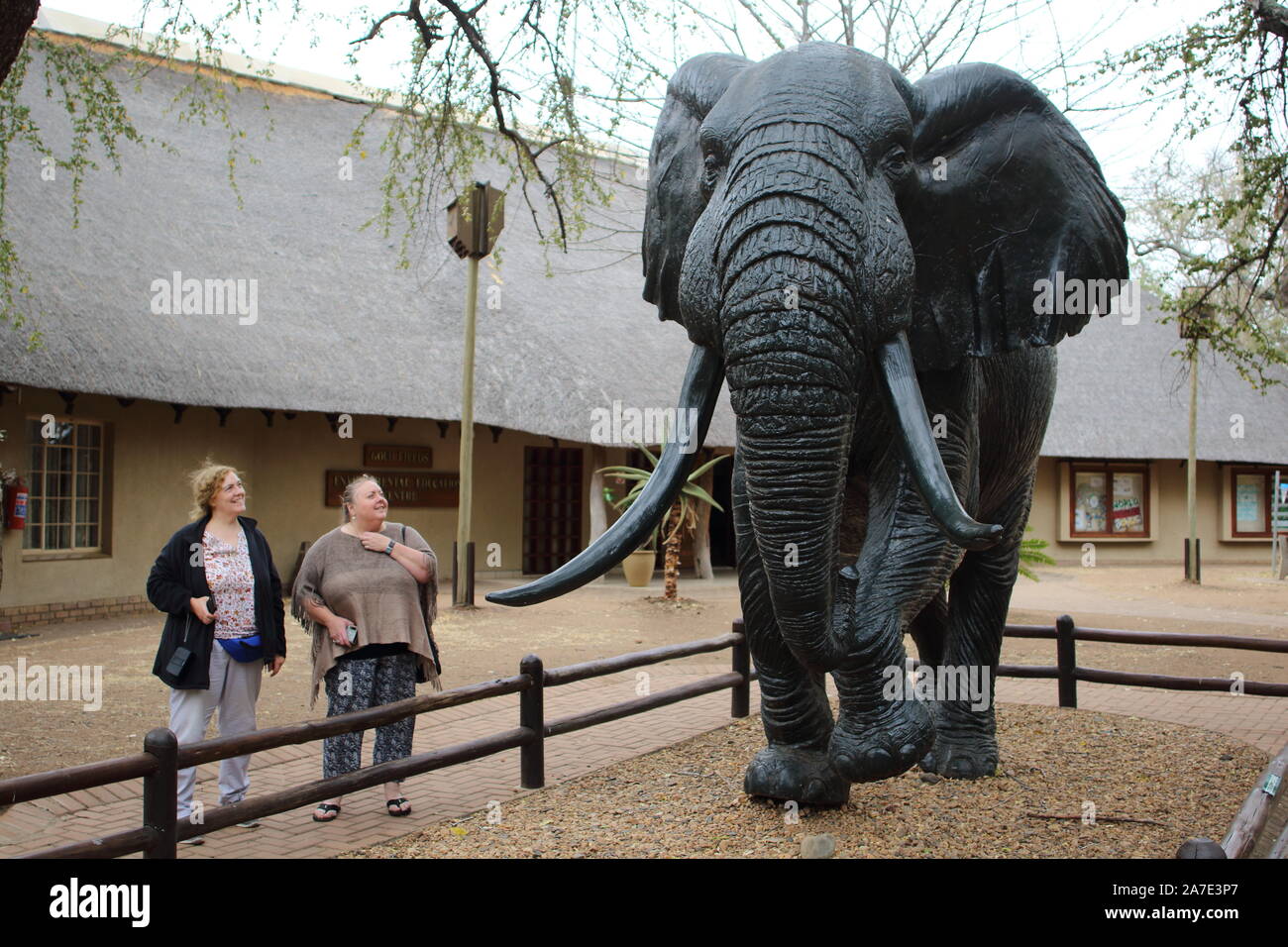 Letaba elefantenmuseum -Fotos und -Bildmaterial in hoher Auflösung – Alamy