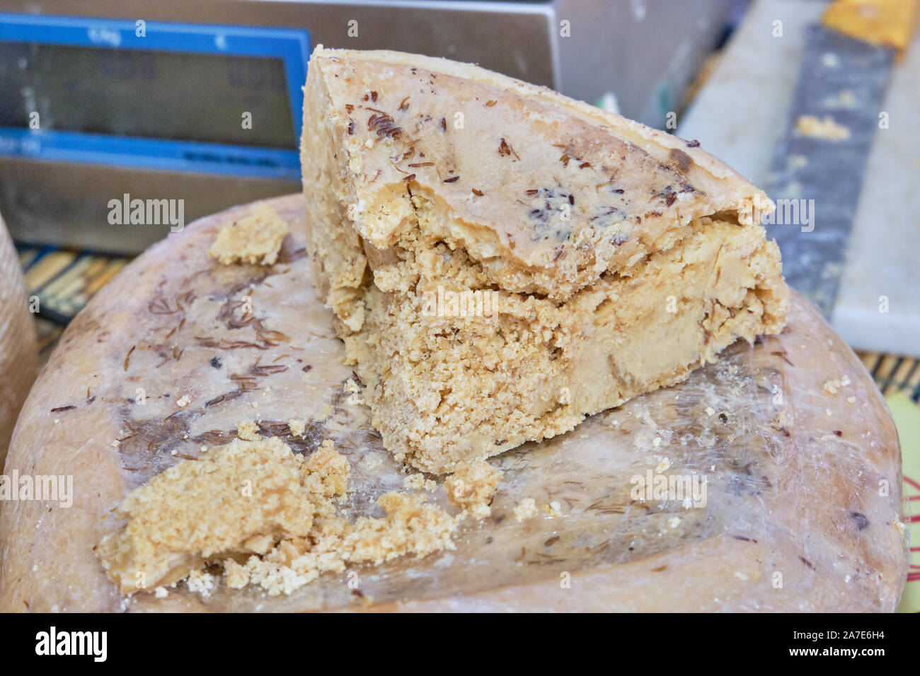 Casu marzu, sardische Käse mit Larven von Piophila Casei ...