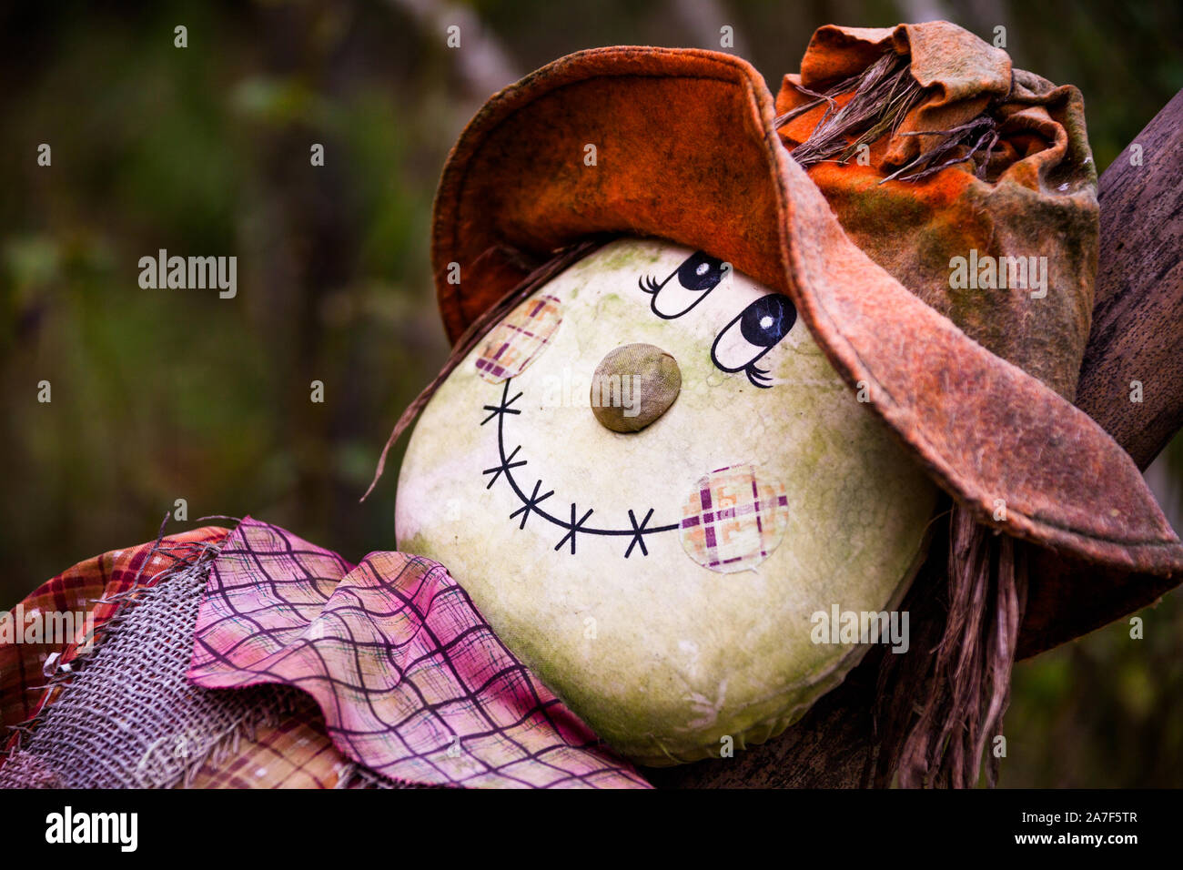 Raggedy ann und andy -Fotos und -Bildmaterial in hoher Auflösung – Alamy