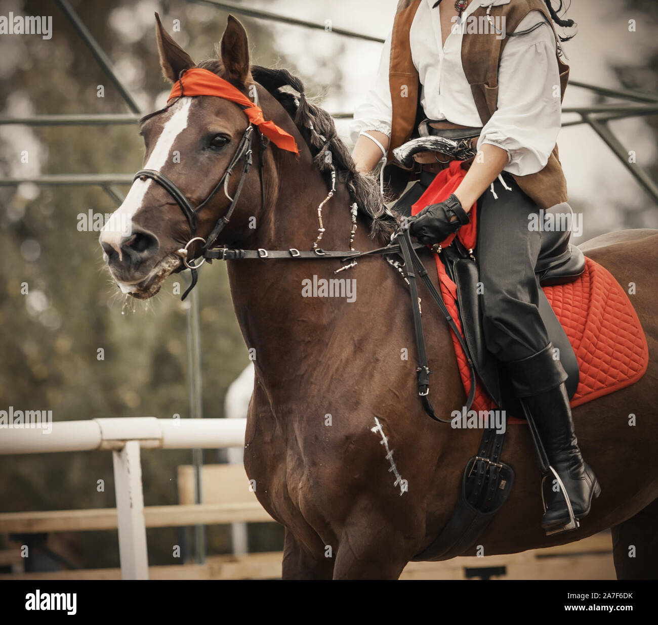 Roter bandit -Fotos und -Bildmaterial in hoher Auflösung – Alamy