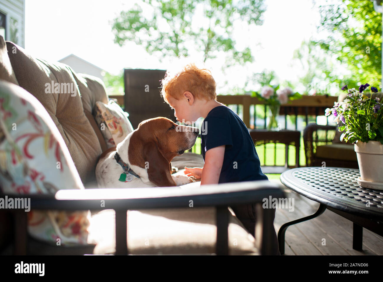 Hund und Hundebesitzer Stockfotos und -bilder Kaufen - Alamy