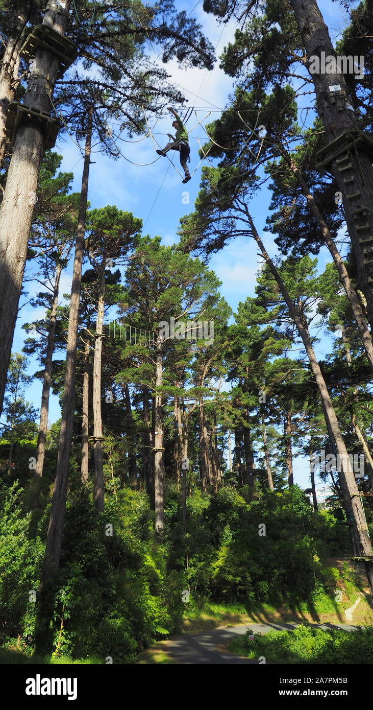 20 Meter Über Dem Boden Stockfotos und -bilder Kaufen - Alamy