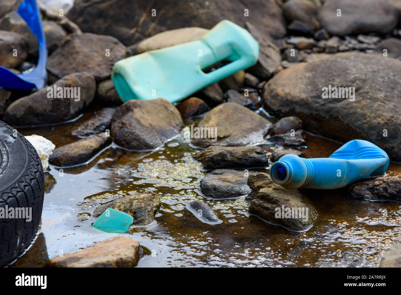 Plastik in algen -Fotos und -Bildmaterial in hoher Auflösung – Alamy